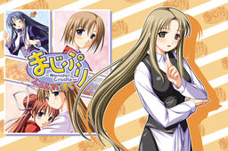 紫社 | Purple software | 月幕Galgame-机构档案